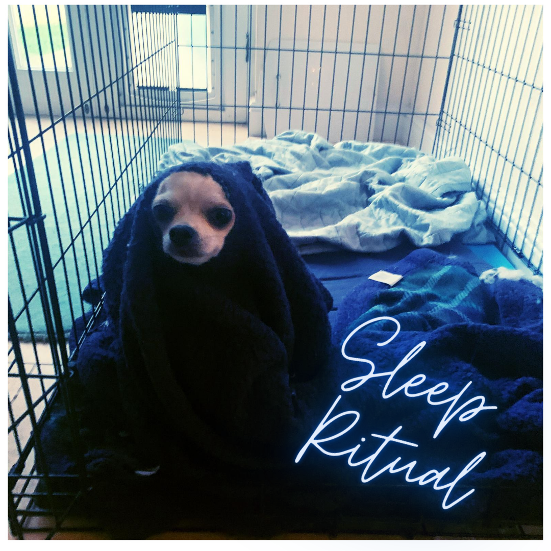 Sleep Ritual – Action Architects